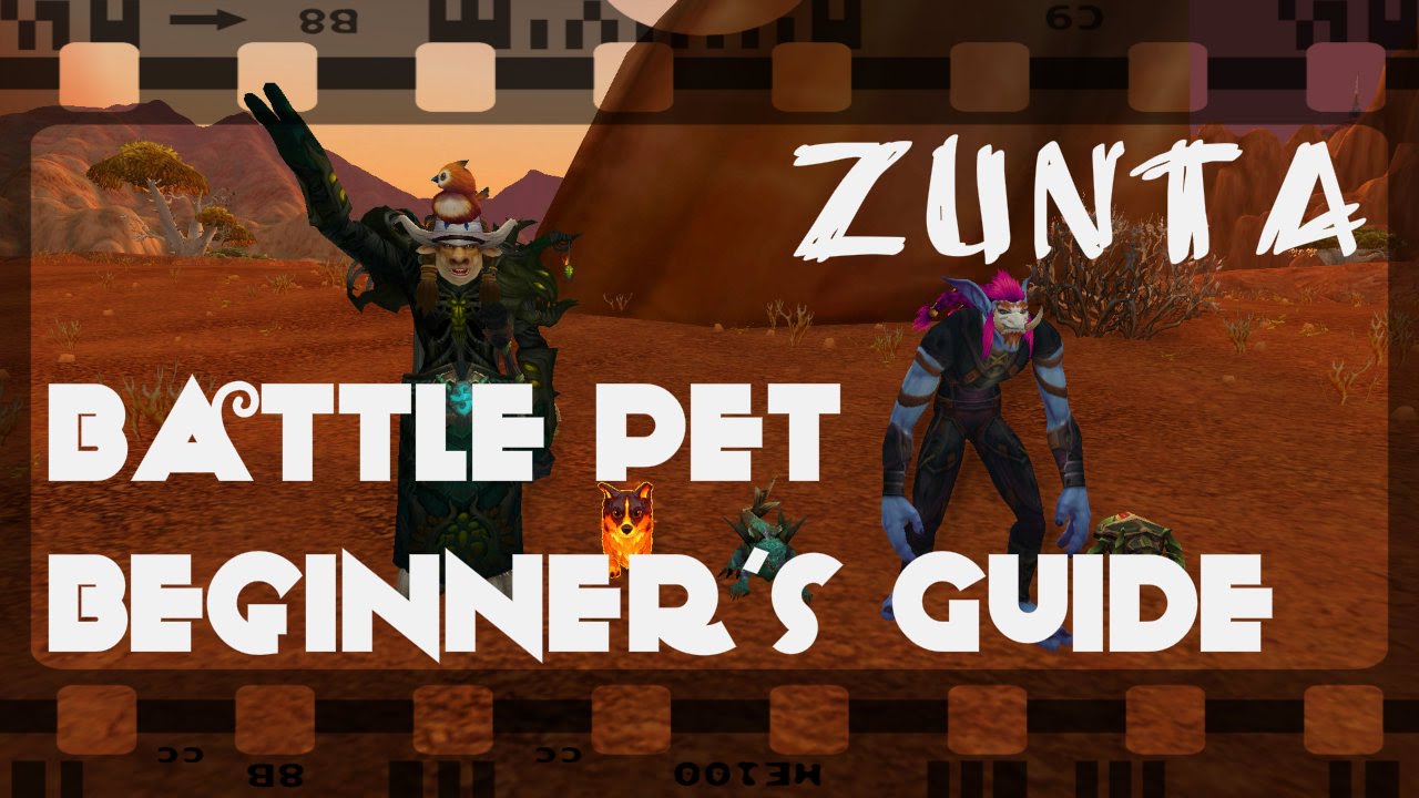 Battle Pet Beginner's Guide [Episode 1] - Zunta, The Pet Tamer - YouTube