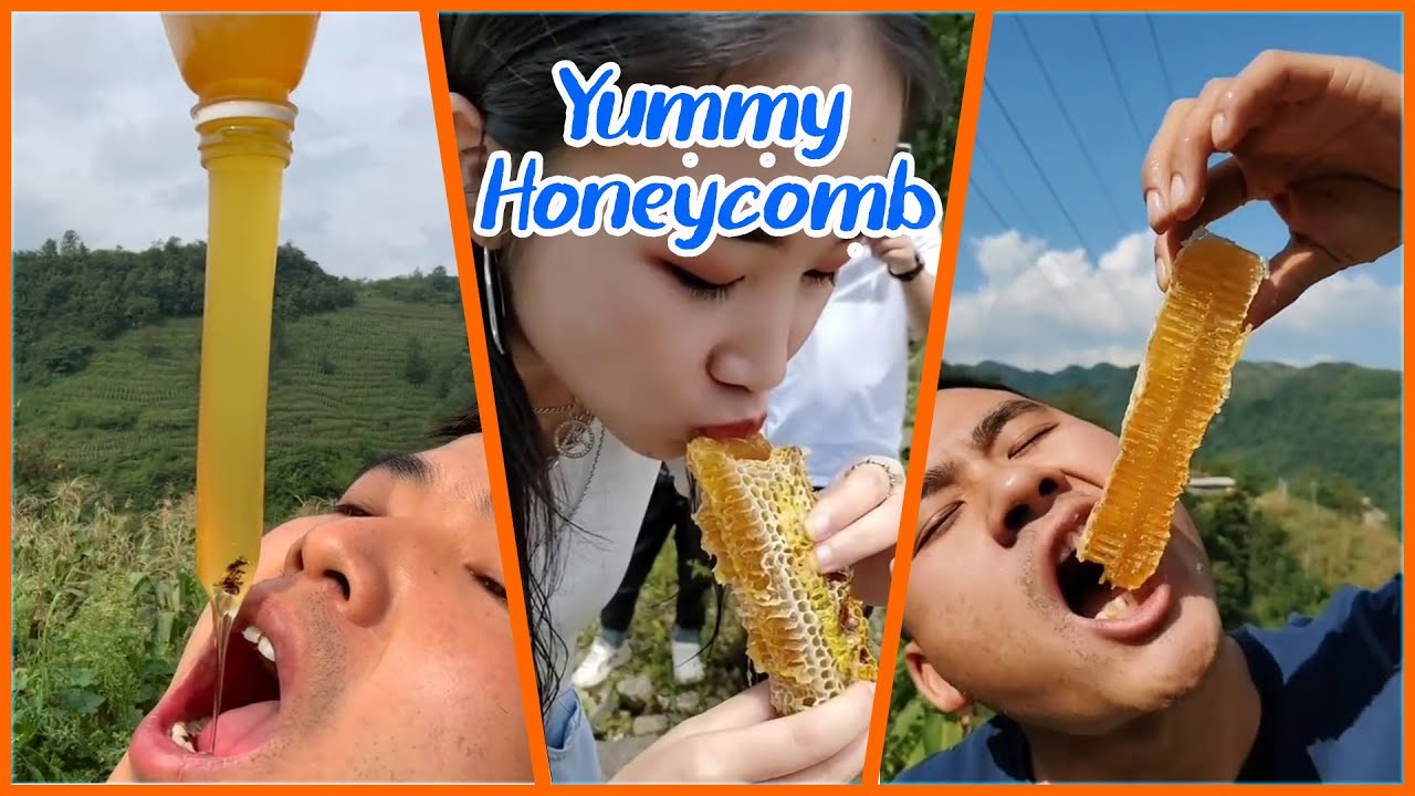ABS Honey BEE | Best HoneyComb Eating ASMR | Eating Videos🎖️10 - YouTube
