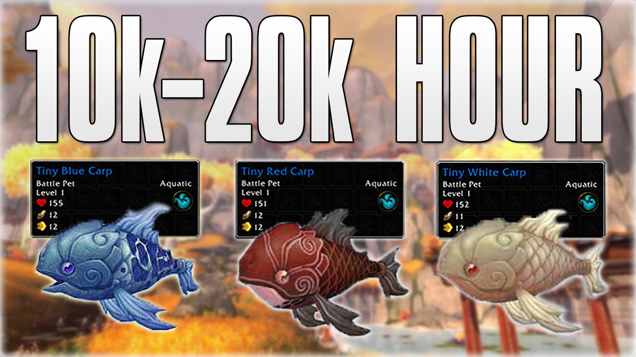 WoW Gold Farming 10k - 20k a HOUR! 7.0.3 Tiny Carp Gold Farming ...