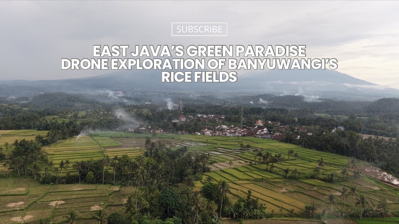 East Java’s Green Paradise: Drone Exploration of Banyuwangi’s Rice ...