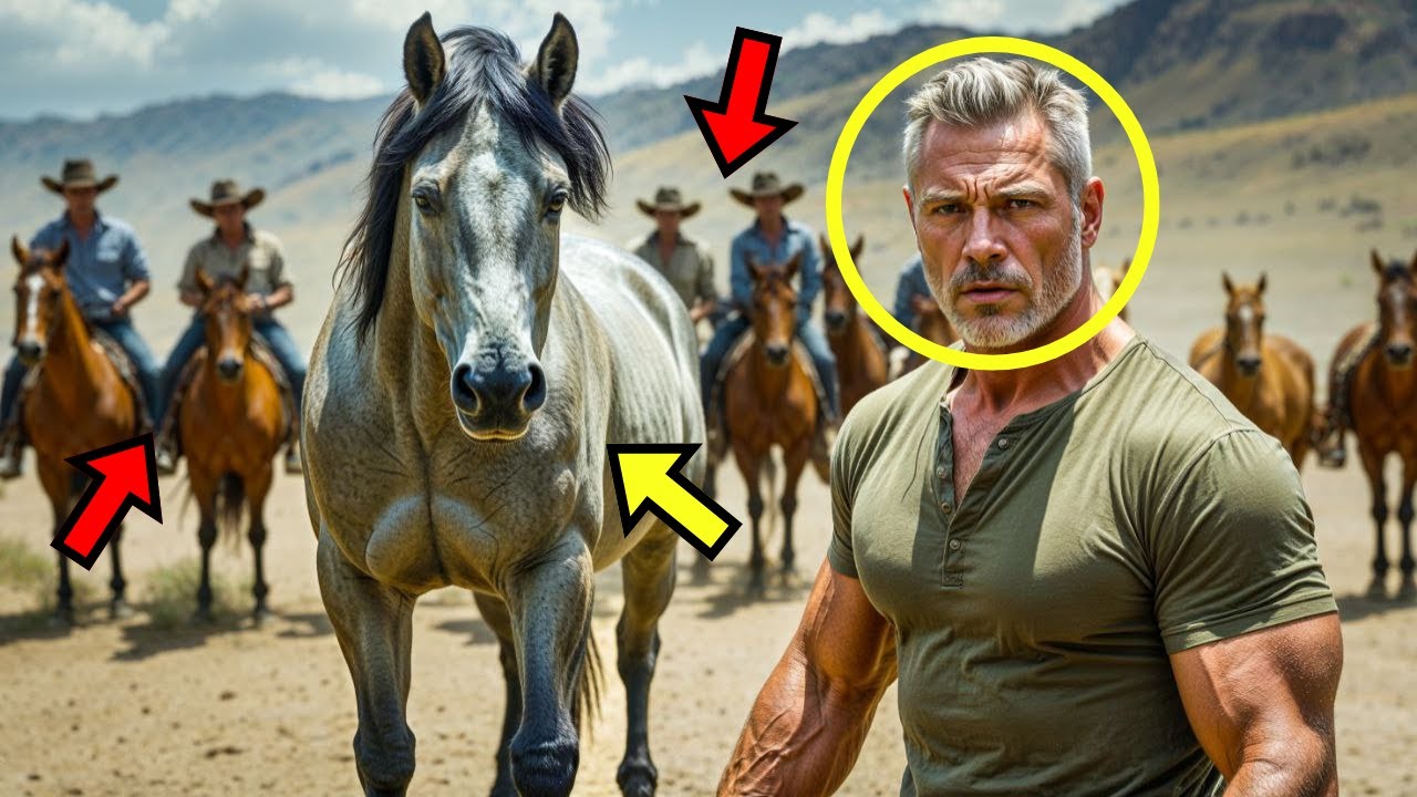 Ruthless Gang Harasses a Mustang Herd—But They Didn’t Expect the ...