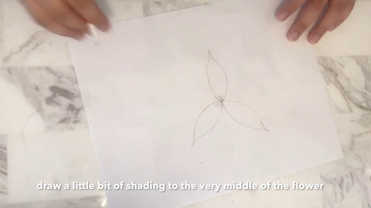 How to draw a blossom tutorial(My first video!) - YouTube
