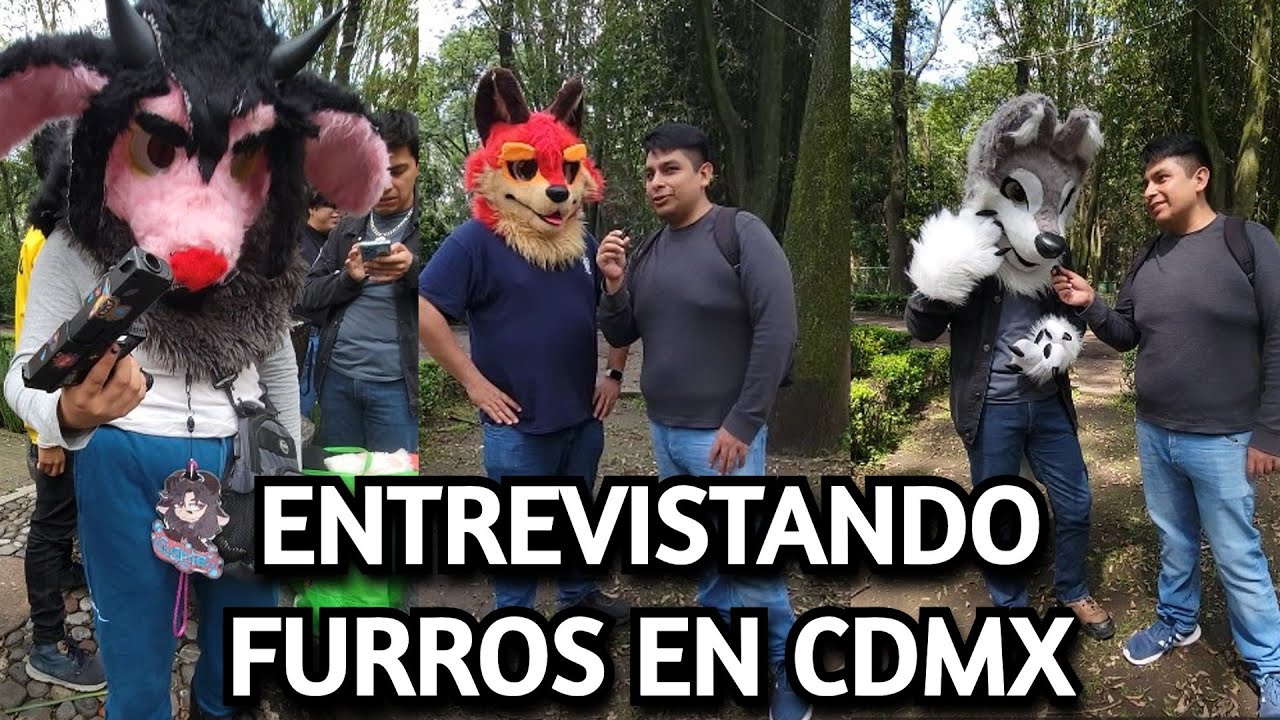Entrevistando FURROS en la CDMX - ¿QUÉ ES LO MÁS DIFICIL DE SER FURRY ...