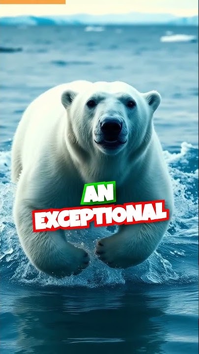 Nanook: The Majestic Arctic Hunter - YouTube