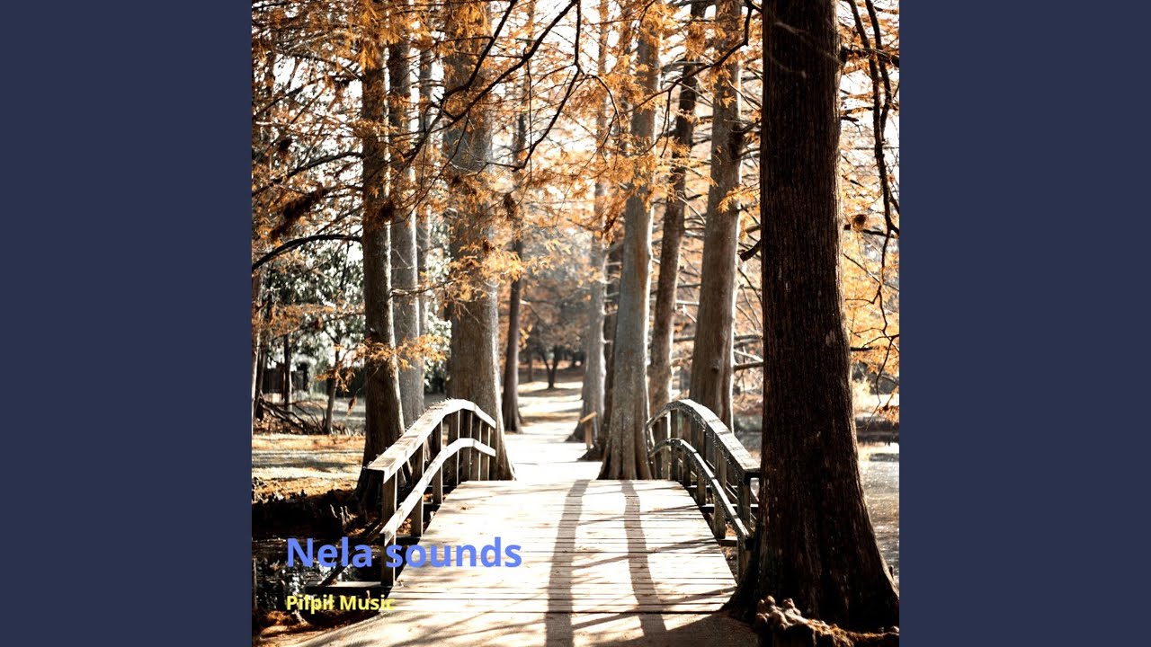 Nela Sounds (Piano & Cello) - YouTube