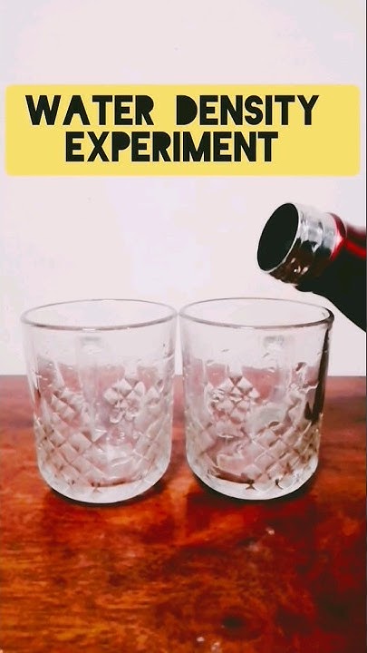 Amazing Salt Water Density Experiment- Simple science #shorts - YouTube