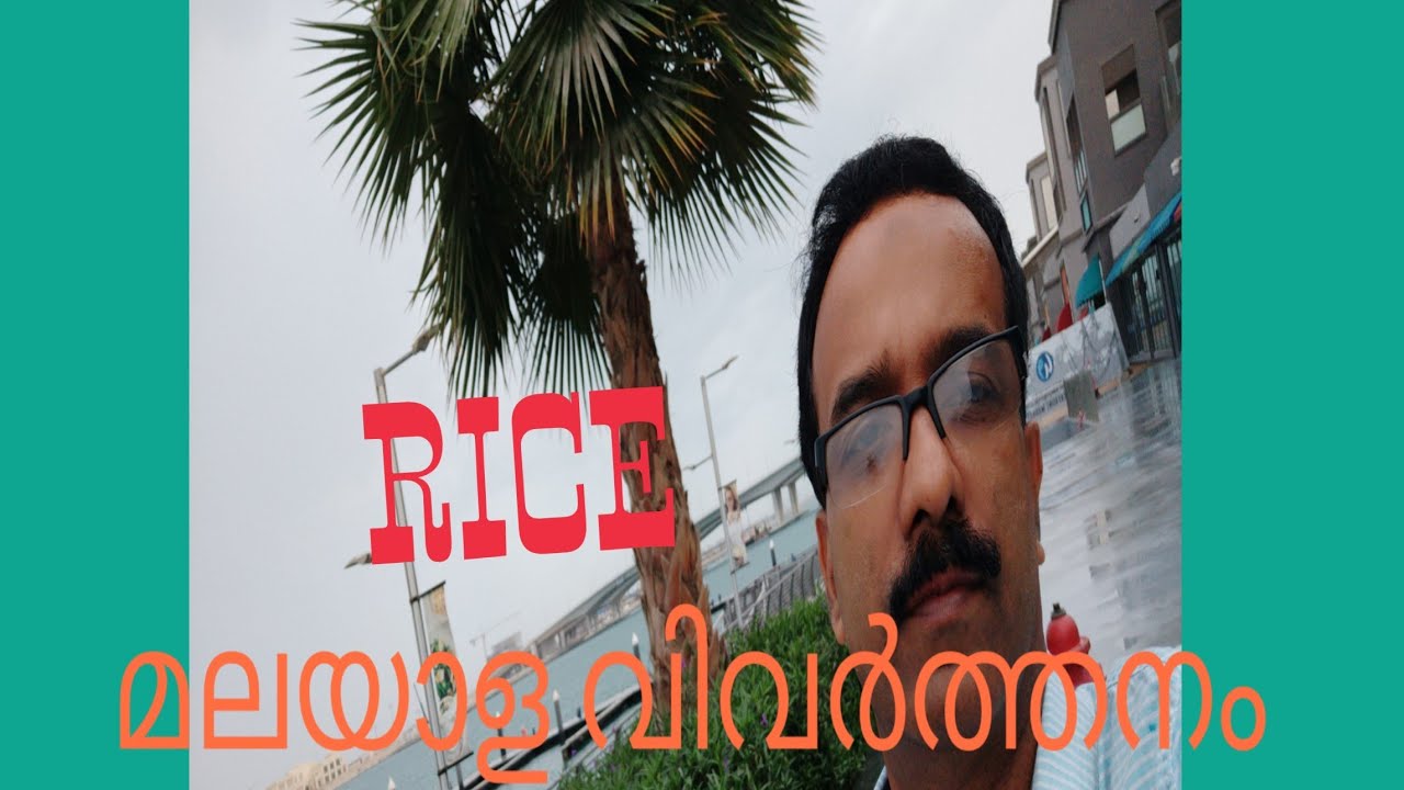 POEM RICE ; CHEMMANAM CHACKO Malayalam Explanation - YouTube