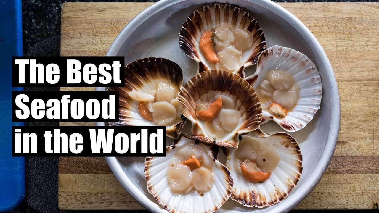Norwegian Seafood is the Best in the World - YouTube
