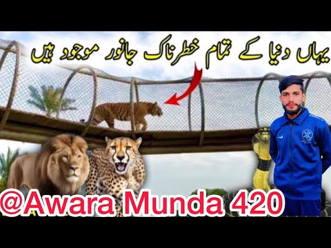 آج چڑیا گھر میں یار عجیب جانور دیکھنے کو ملے کمال کا ویلوگ 😲 👉#awara ...