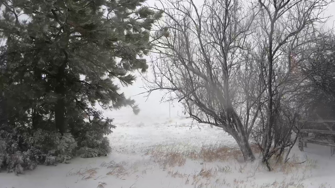 Elizabeth, Colorado Storm 3-13-19 11:06am - YouTube