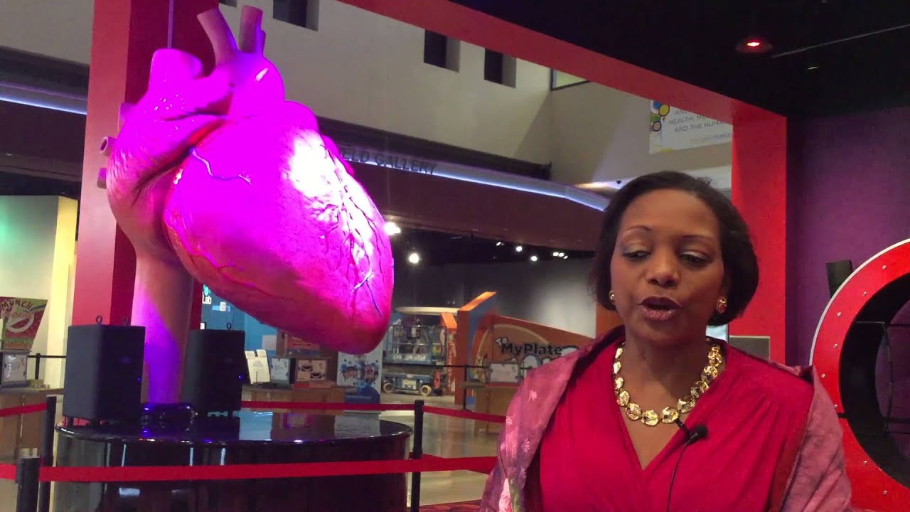 Giant Heart Exhibit at The Health Museum - YouTube