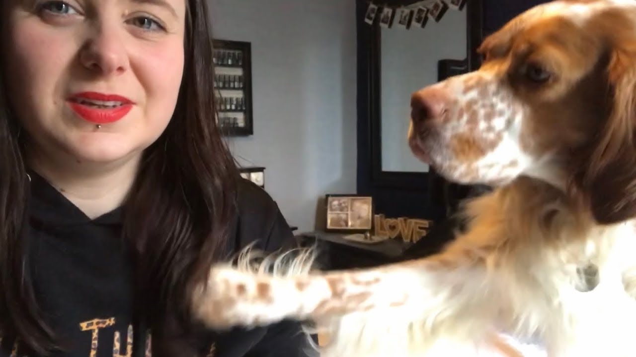 Weekly Vlog | A Very Scary Trip To The Vets! - YouTube