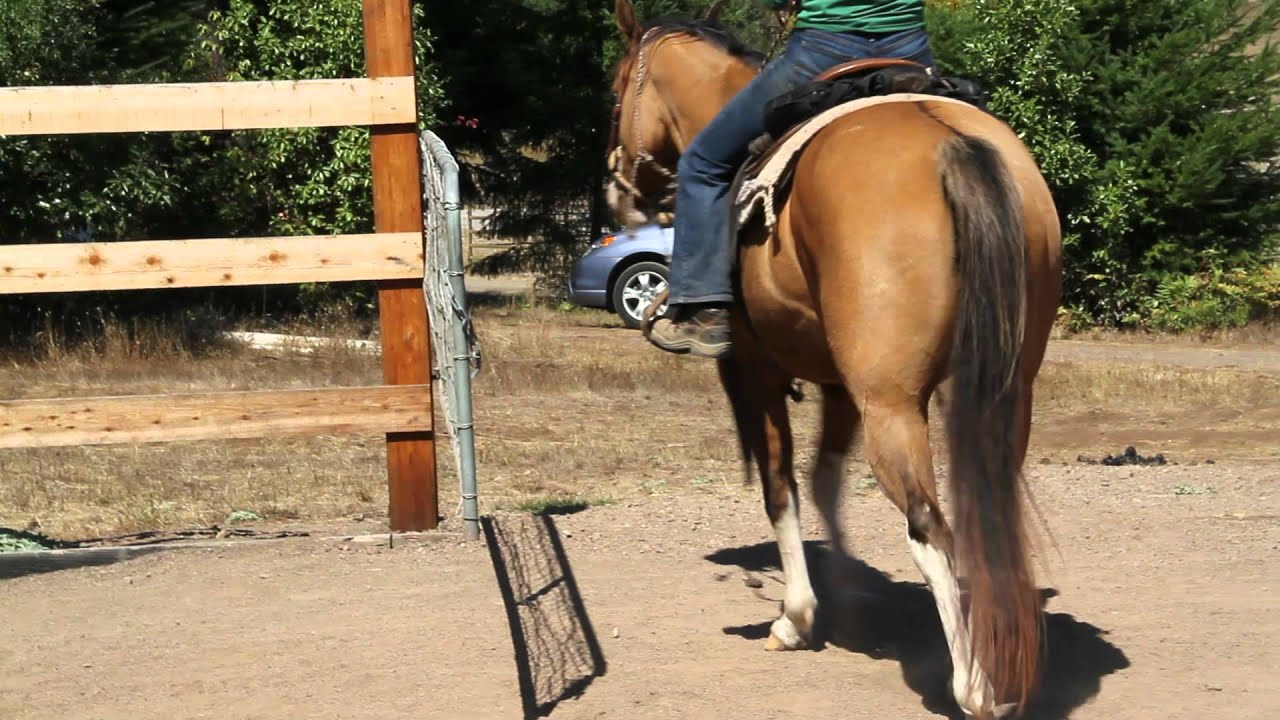 Allie Gate - YouTube