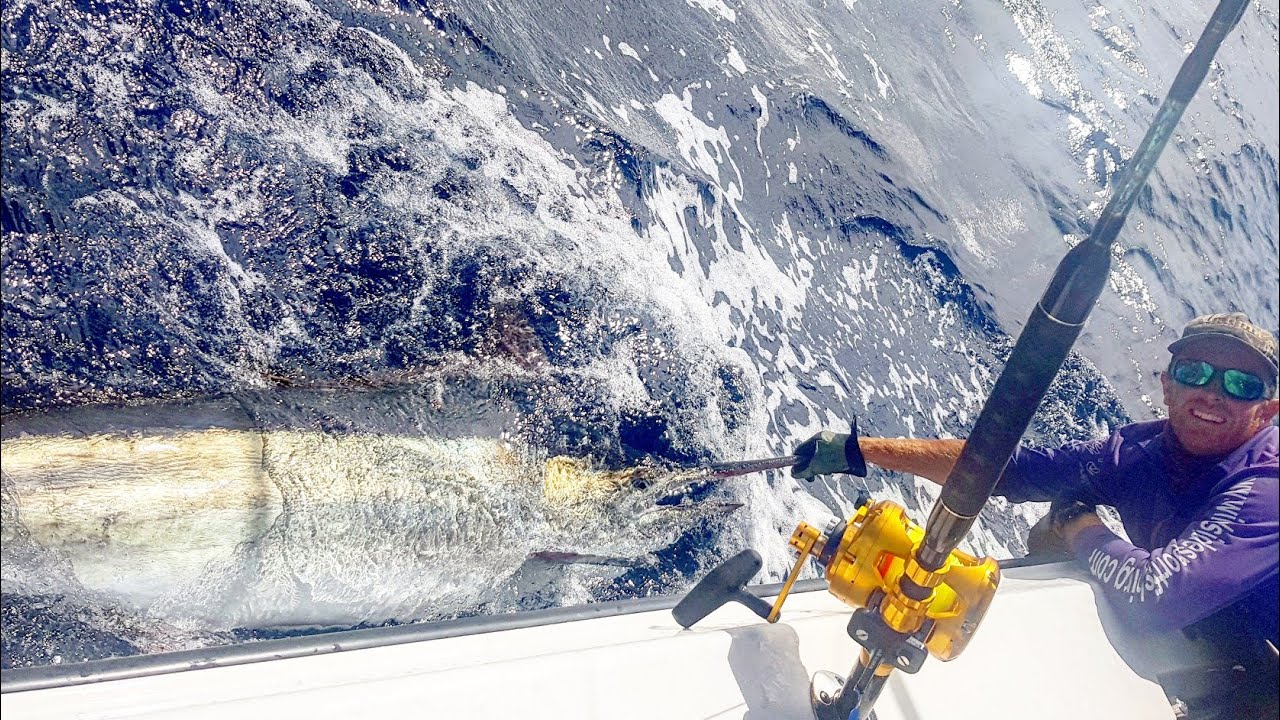 Fishing South West Rocks with Wildside Sportfishing - YouTube