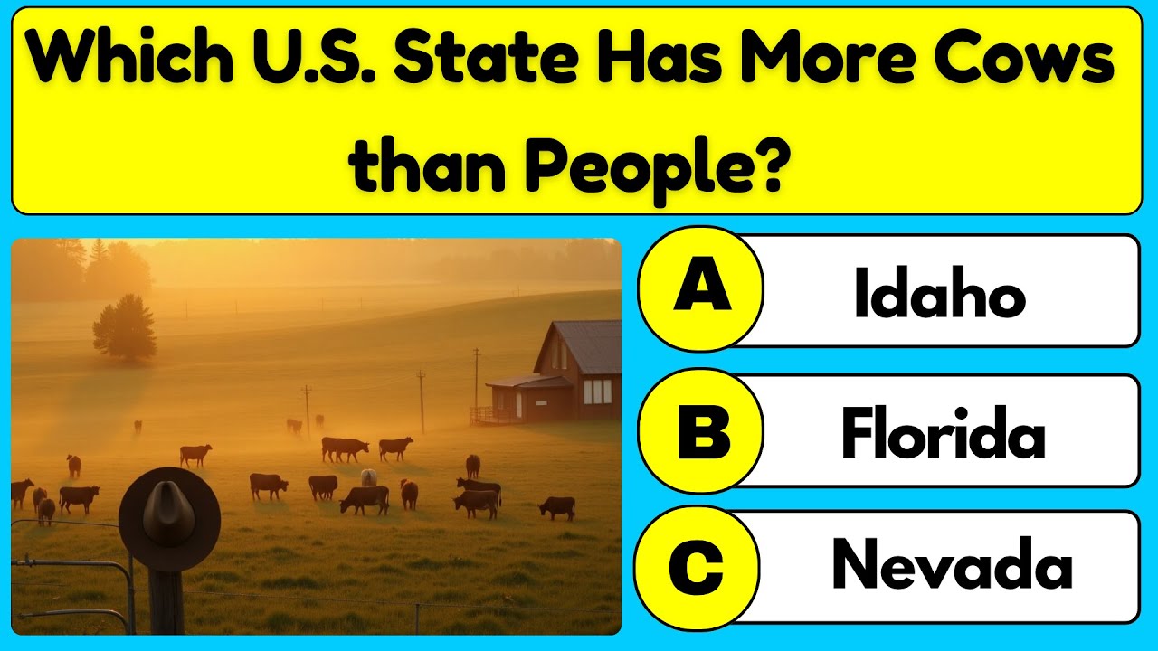 Which U.S. State Has More Cows Than People 🐄 Fun U.S. Trivia Quiz ...
