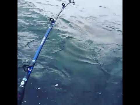 DEEP DROP FISHING - YouTube