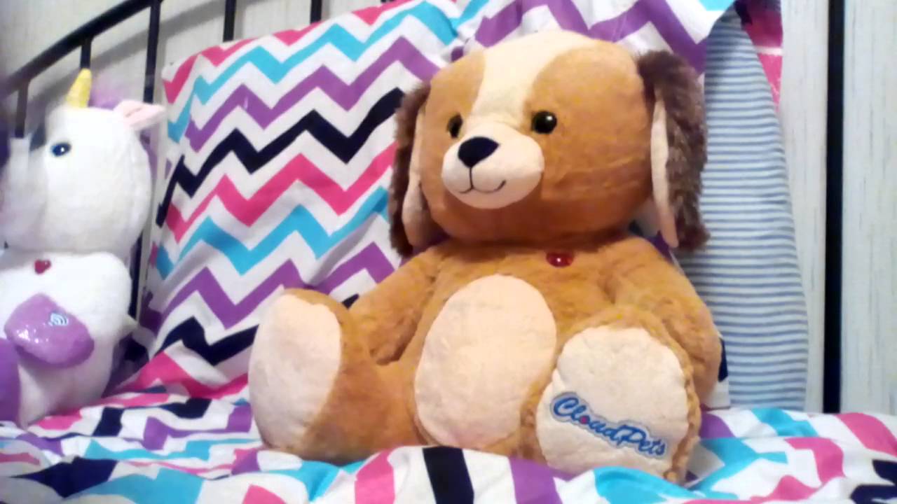 CLOUD PETS INTERDUCTION - YouTube