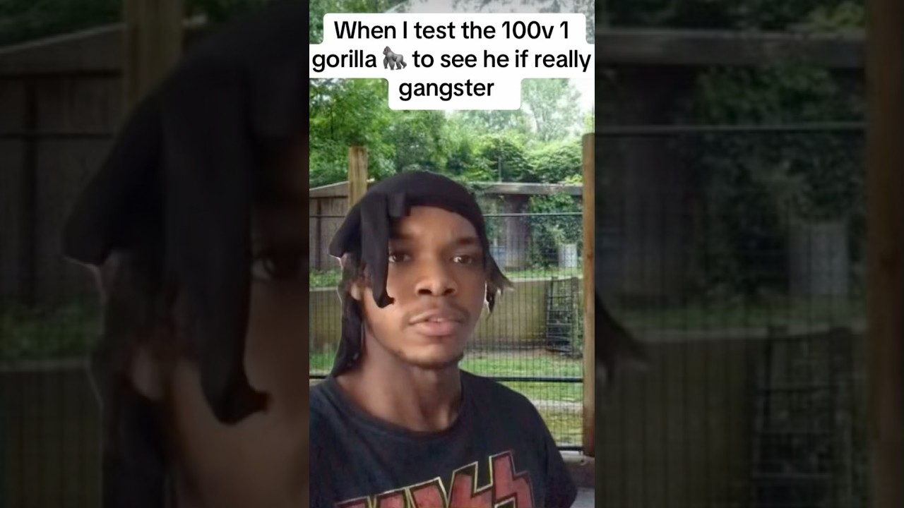 100v1 gorilla 🦍 not like that fr 😤 #tiktokvideos #funny #gtag # ...
