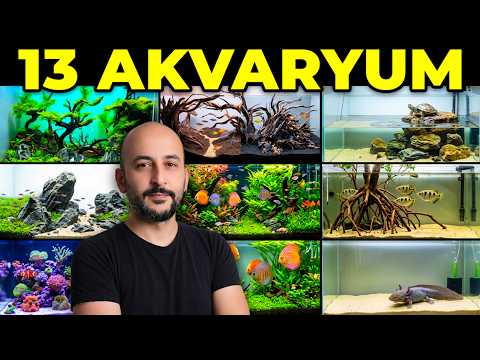 13 Akvaryumum Oldu, Tek Tek Geziyoruz!