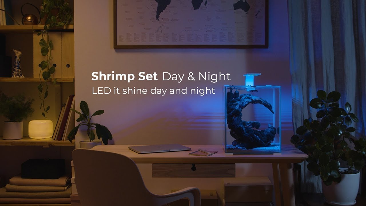 Aquael Shrimp Set Day & Night - LED it shine day & night (DE) - YouTube