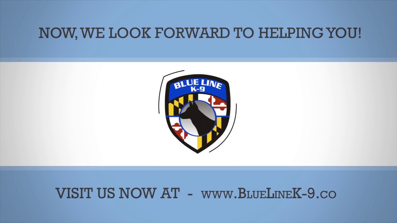 Blue Line K-9 Effective Dog Training Made Fun and Easy - YouTube