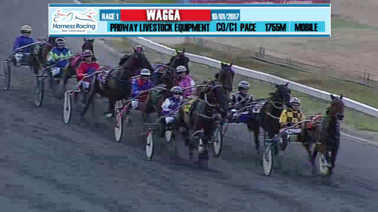WAGGA - 10/01/2017 - Race 1 - PROWAY LIVESTOCK EQUIPMENT LADYSHIP PACE ...