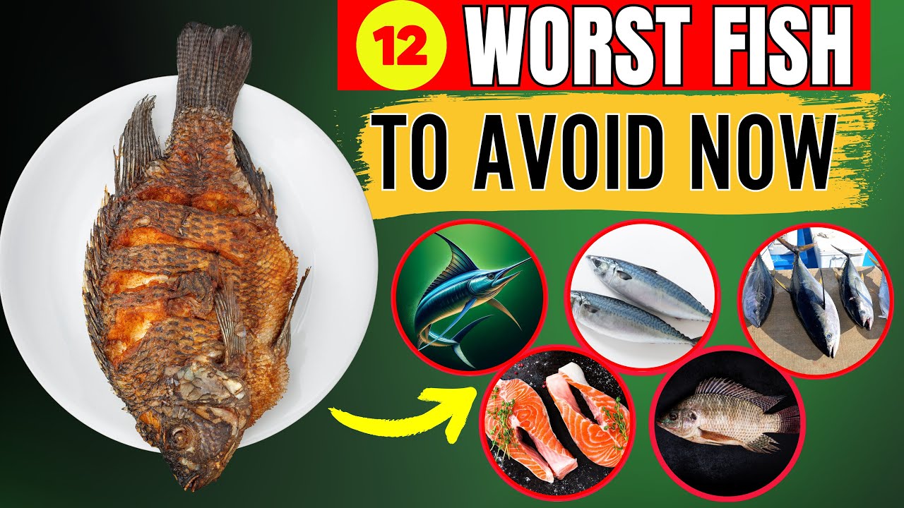 12 Worst Fish You Shouldn't Eat (Your Favorite Fish In This List) - YouTube