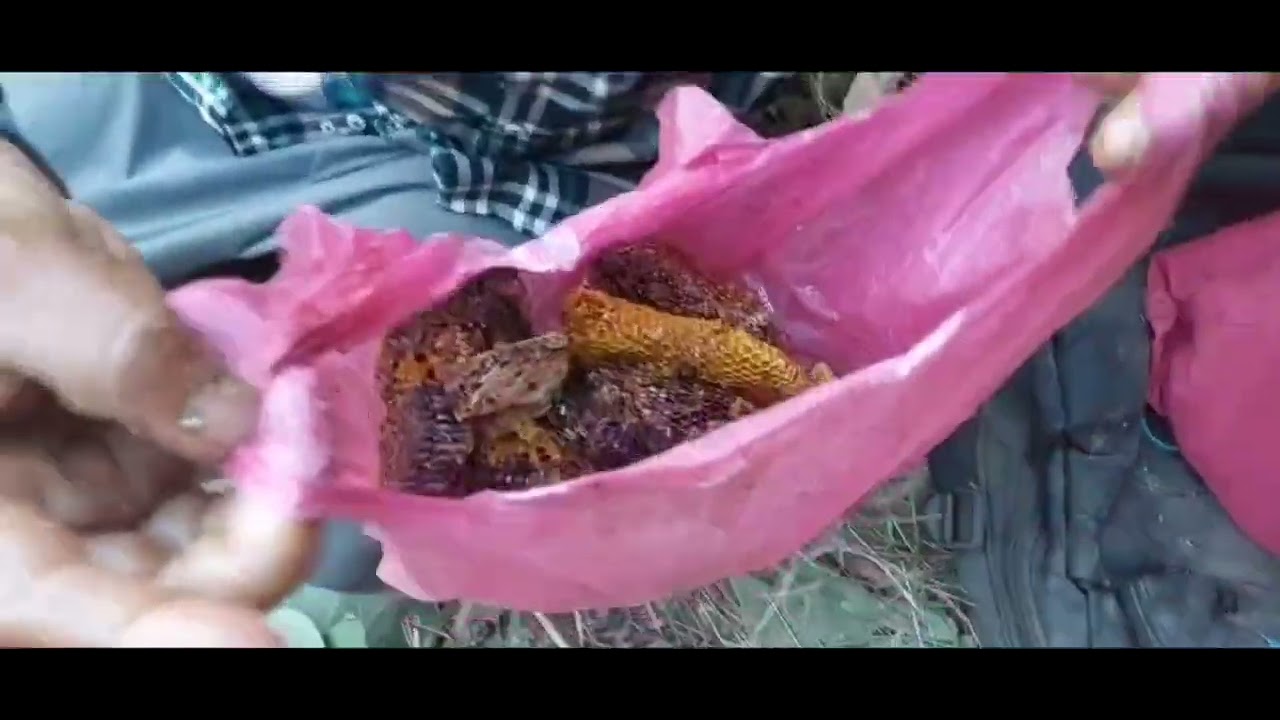 vir mahuri - YouTube