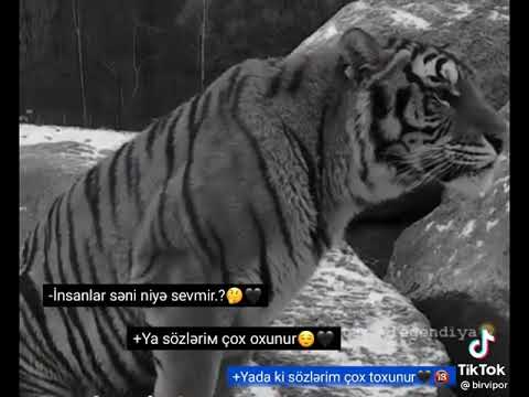 Həci necəsən fiyuuuu(2)