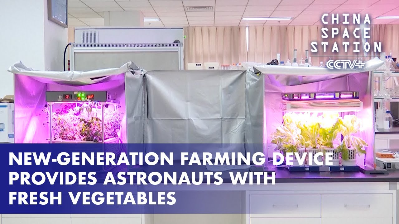 New-Generation Farming Device Provides Astronauts with Fresh Vegetables ...