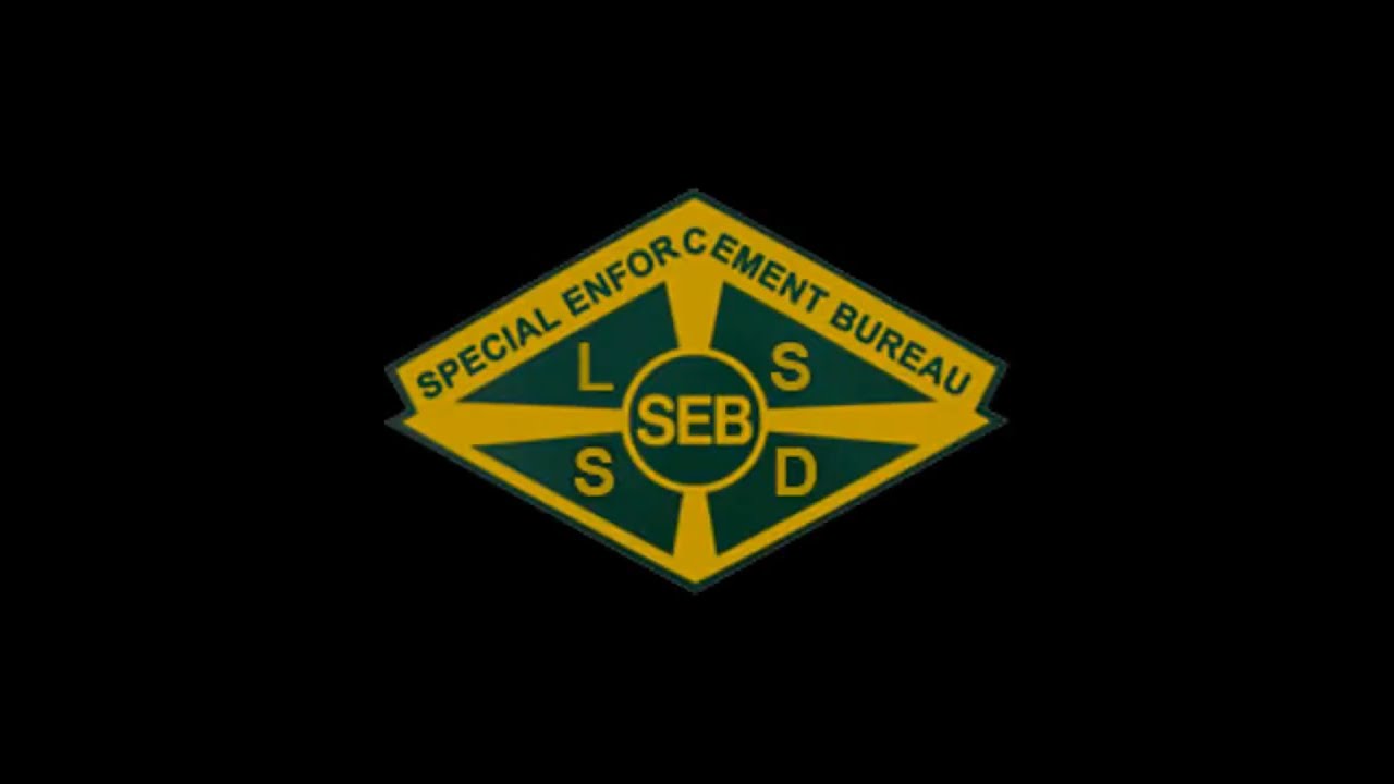 🔴სტრიმი SAMP Heavy RP? ახალი პროექტი SEB 🔴 - YouTube