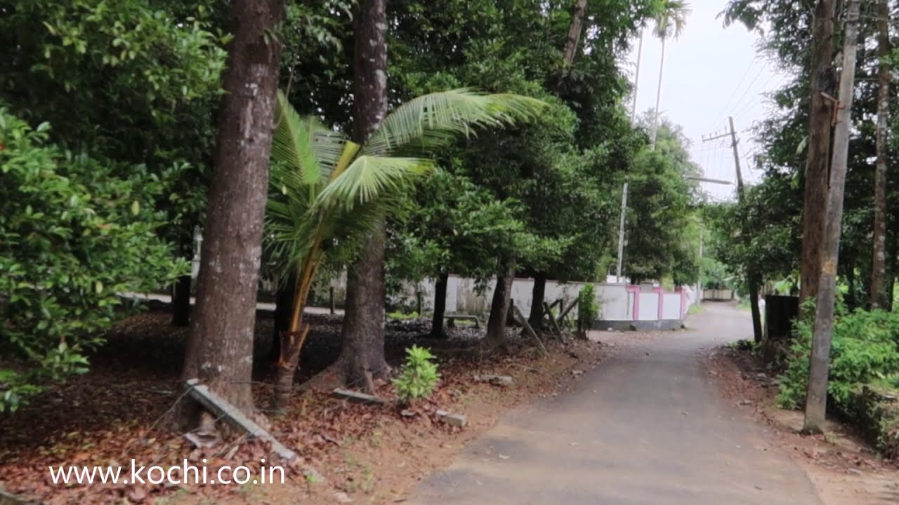 40 cents land near Cochin airport, Kerala. Price - 2.50 lakhs/cent ...