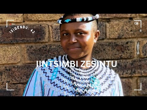 Isiqendu 42: IIntsimbi zesintu (Sincokola noMatshezi kwaThema ...