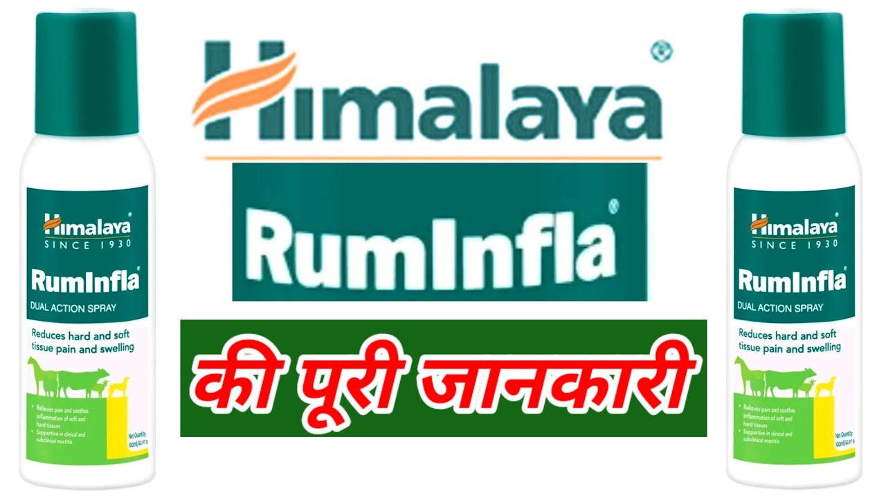 Himalaya ruminfla spray details in hindi|| ruminfla spray uses in vet ...
