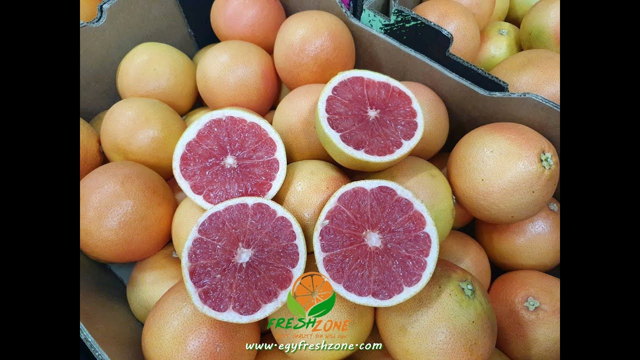Egyptian Grapefruit Sorting and sizing by Fresh Zone - YouTube