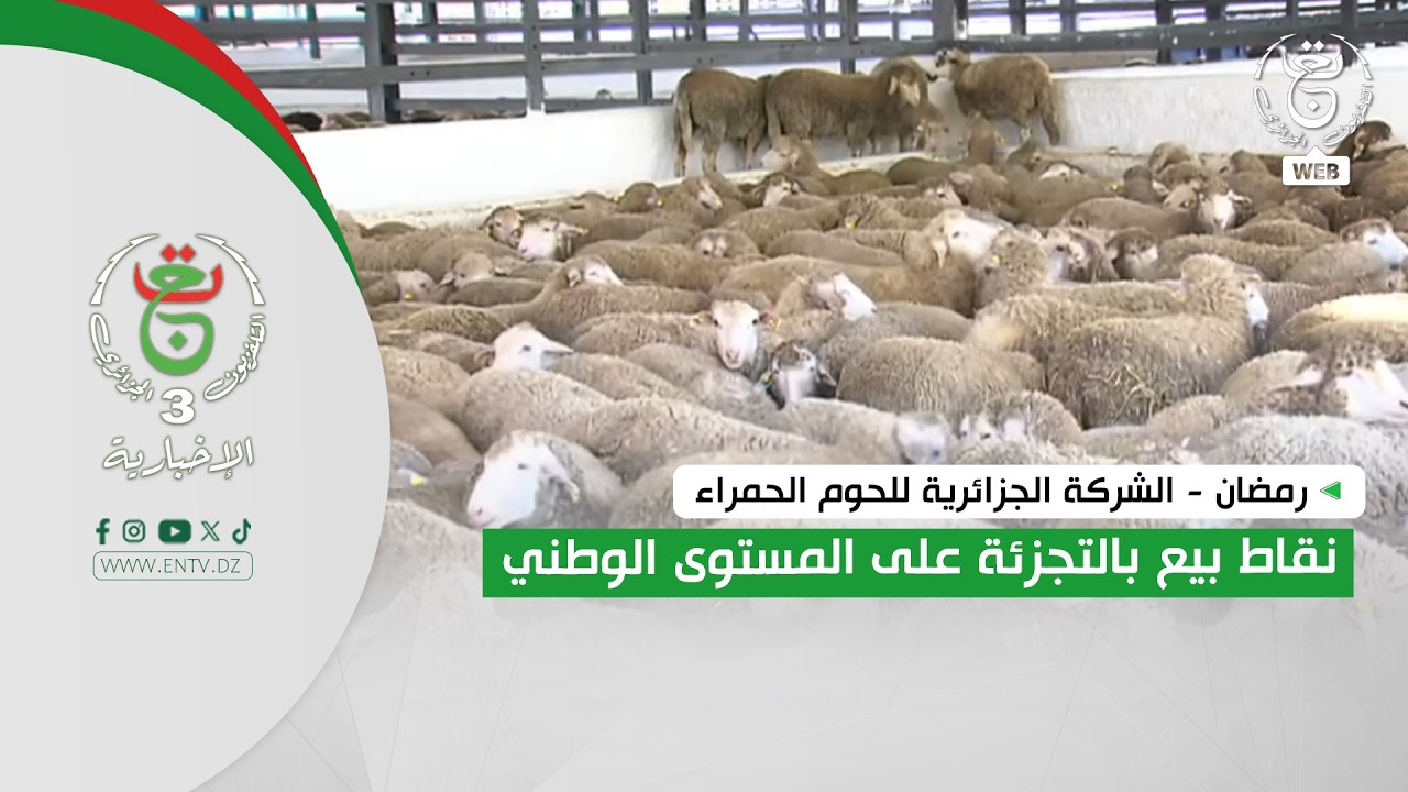 رمضان - الشركة الجزائرية للحوم الحمراء | نقاط بيع بالتجزئة على المستوى ...