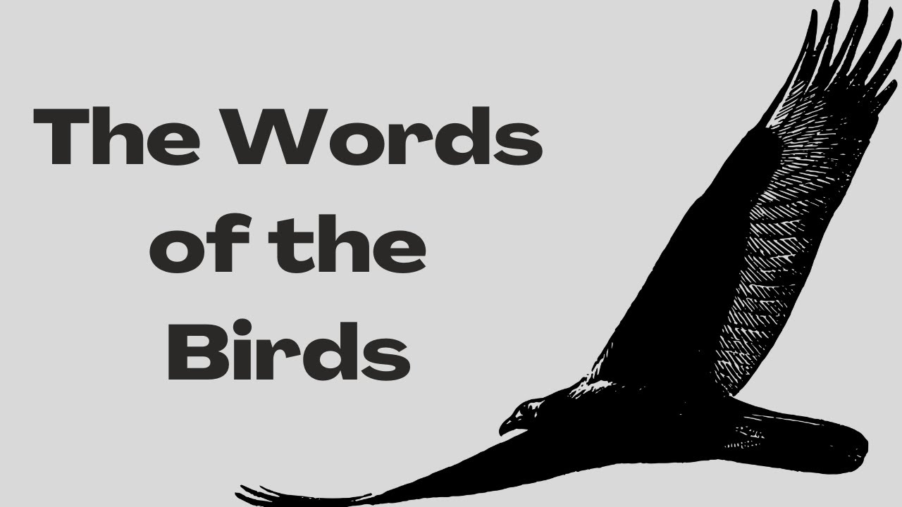 SPOKEN WORD: The Words of the Birds - YouTube