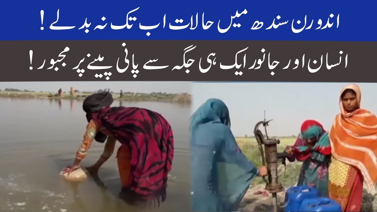 Severe Lack of water in Thul Tehsil in Sindh cause disease | 05 March ...