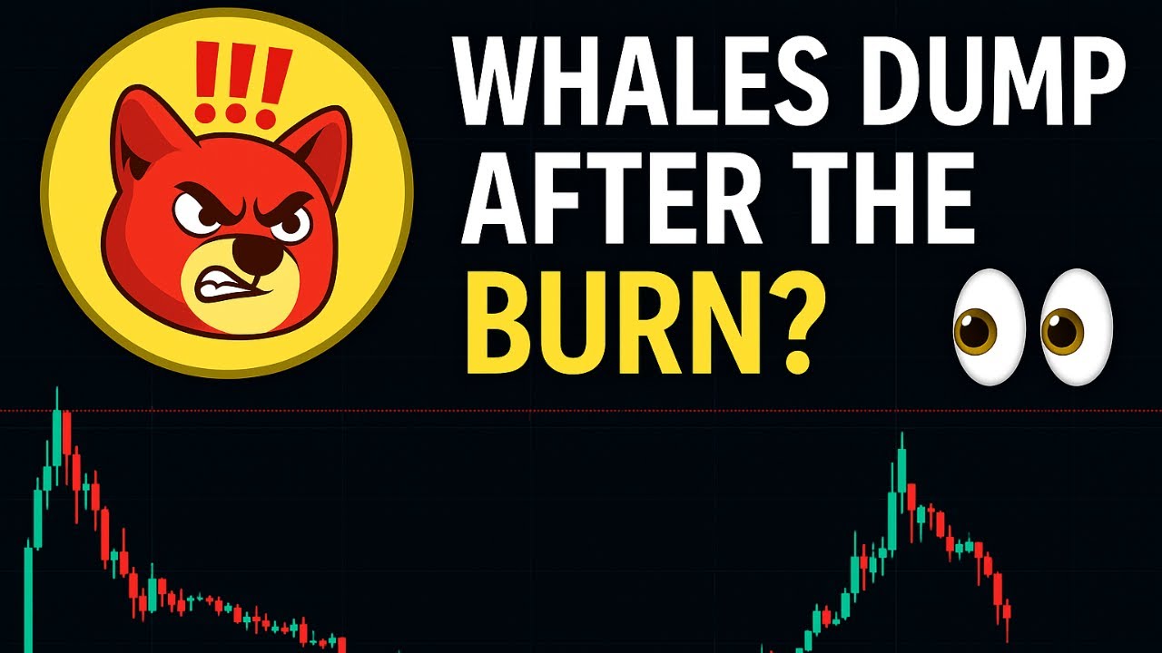 500B BONK Burn… Then THIS Happened 👀 - YouTube