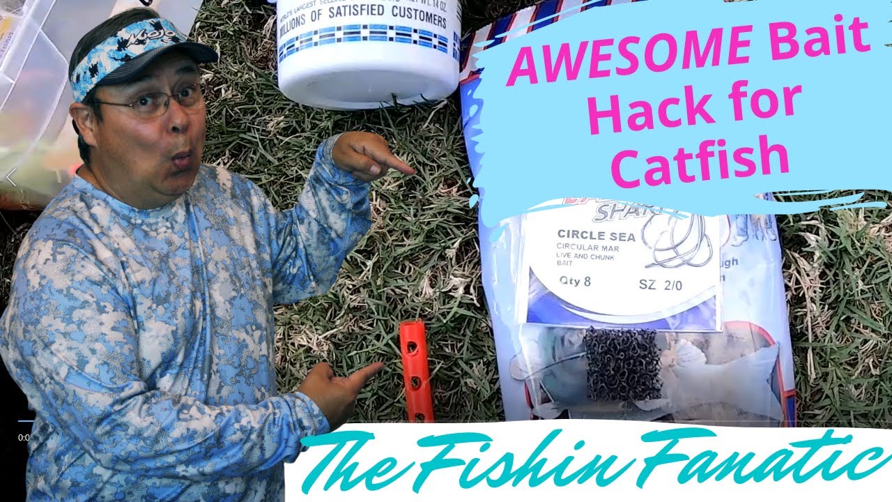 AWESOME Bait Hack for Catfish | The Fishin Fanatic - YouTube