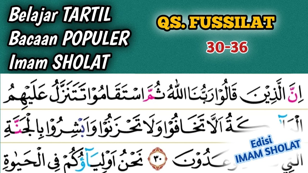 BELAJAR TARTIL BACAAN POPULER IMAM SHOLAT SURAT FUSSILAT 30-36 - YouTube