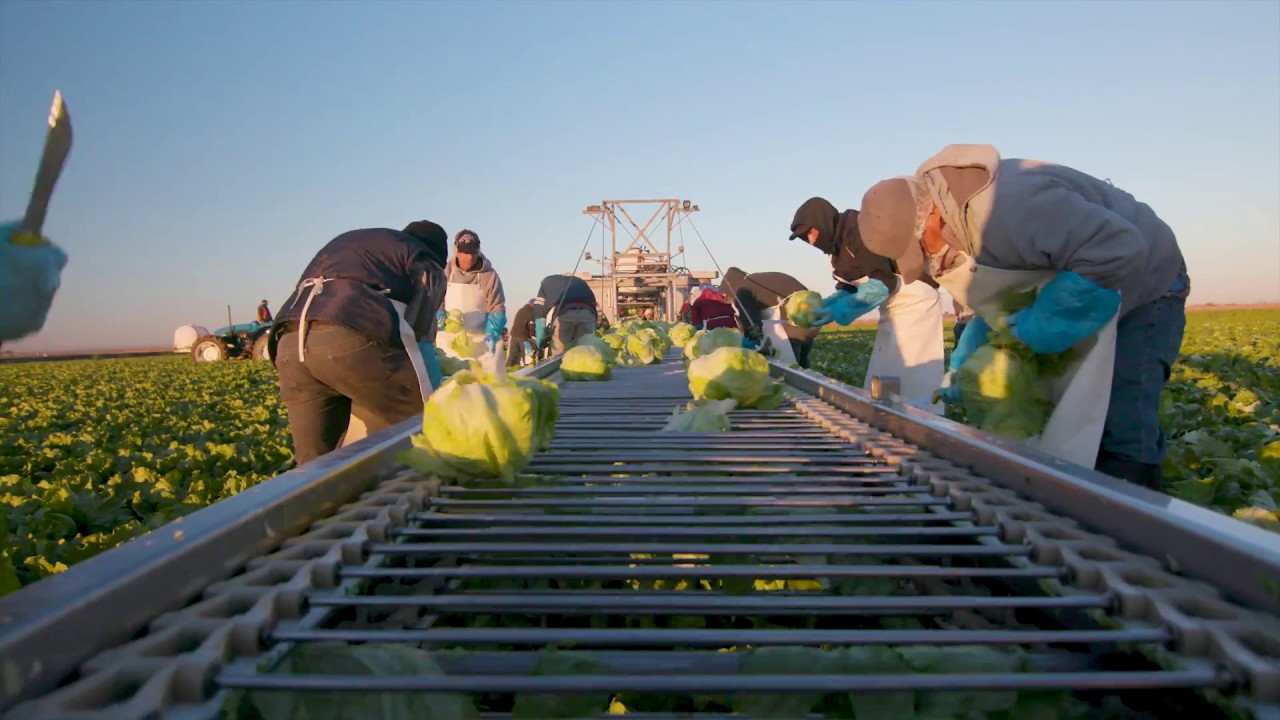 Subway Highlights Taylor Farms Innovation - YouTube