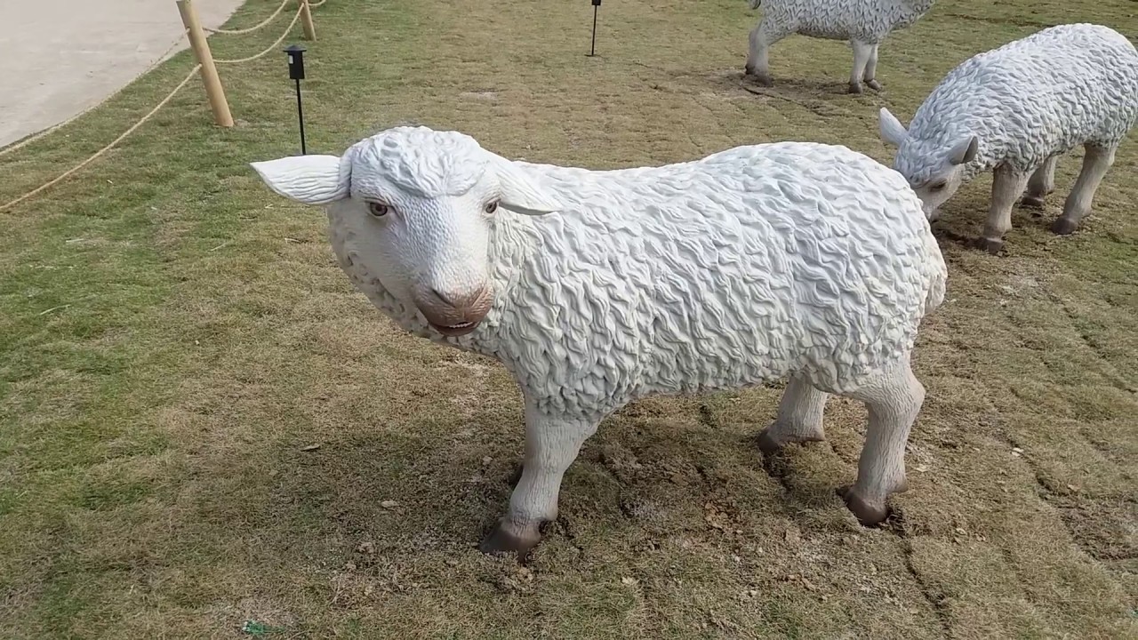 Outdoor 3D Sheep Model Life Size Robotic Sheep for park - YouTube