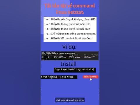Linux netstat - important command - YouTube