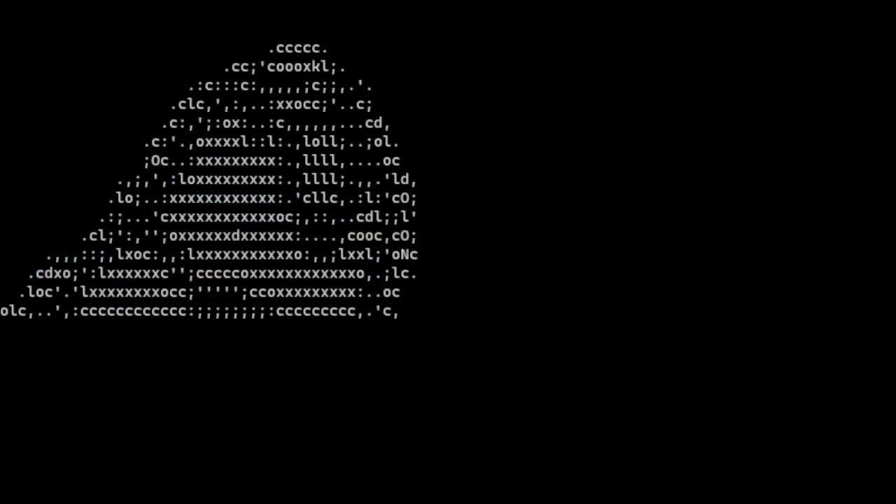 Cmd Parrot Dance Youtube