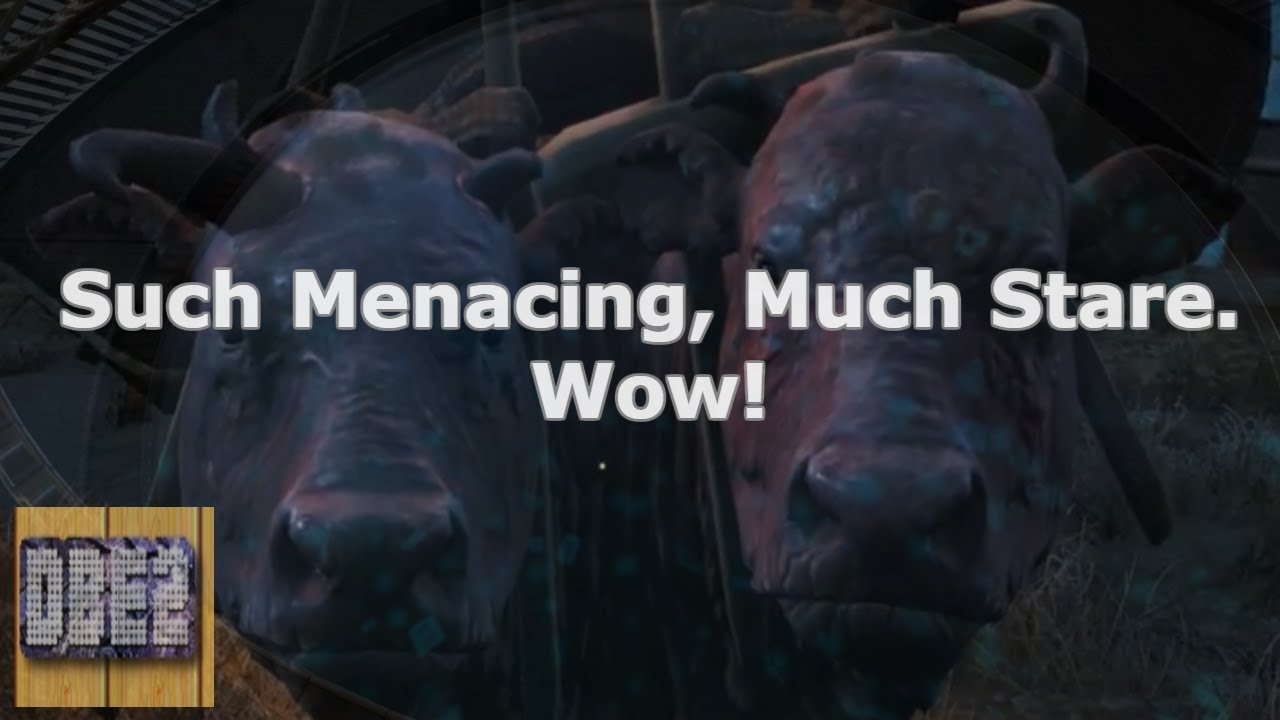 Such Menacing, Much Stare. Wow! - DBE - YouTube