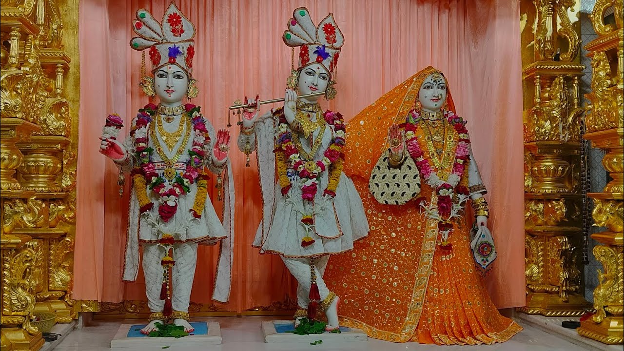 Daily Darshan shree swaminarayan mandir savarkundla 2-8-2024 - YouTube