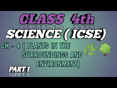 ICSE BOARD CLASS-4 SCIENCE Ch-4(Plants in the Surrounding and The ...