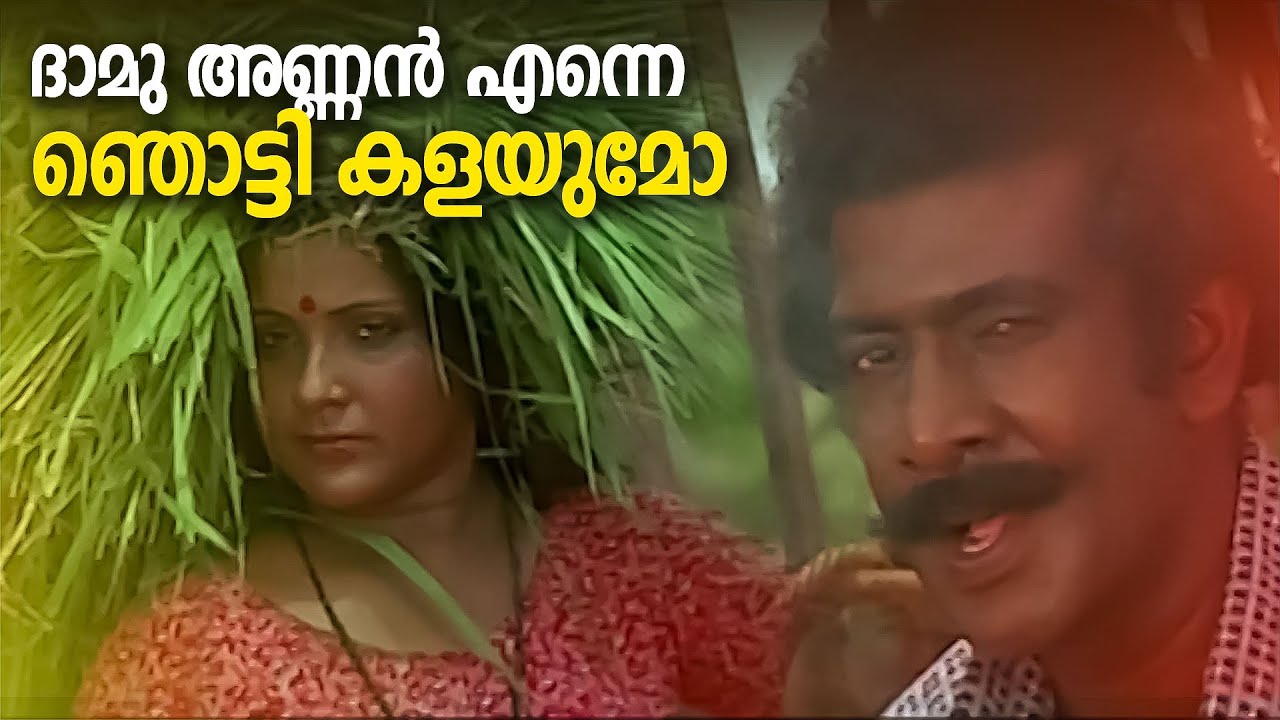 ദാമു അണ്ണൻ എന്നെ ഞൊട്ടി കളയുമോ | Kadathu Movie Scene | Shankar ...