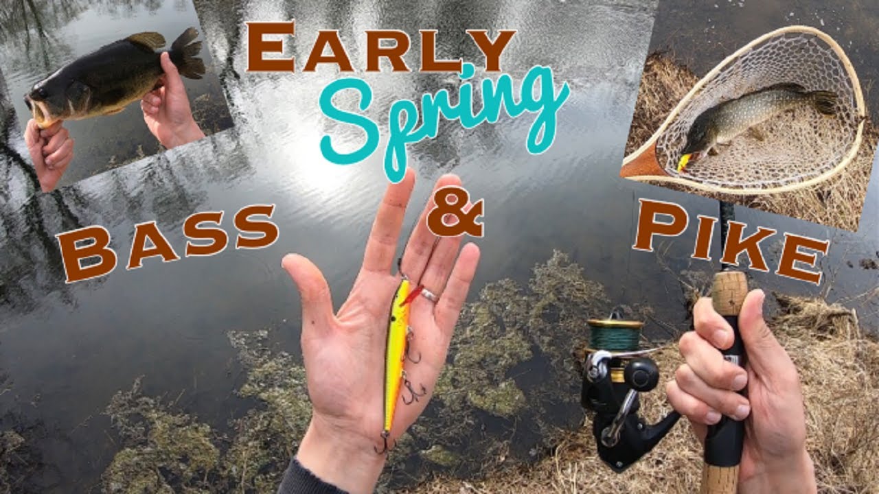 Early Spring? Fishing shallow Creek for Bass and Pike - YouTube